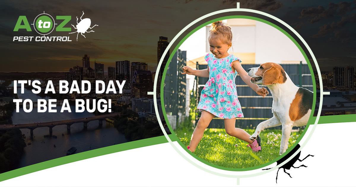 Pest Control Services in Austin, TX | A to Z Pest Control